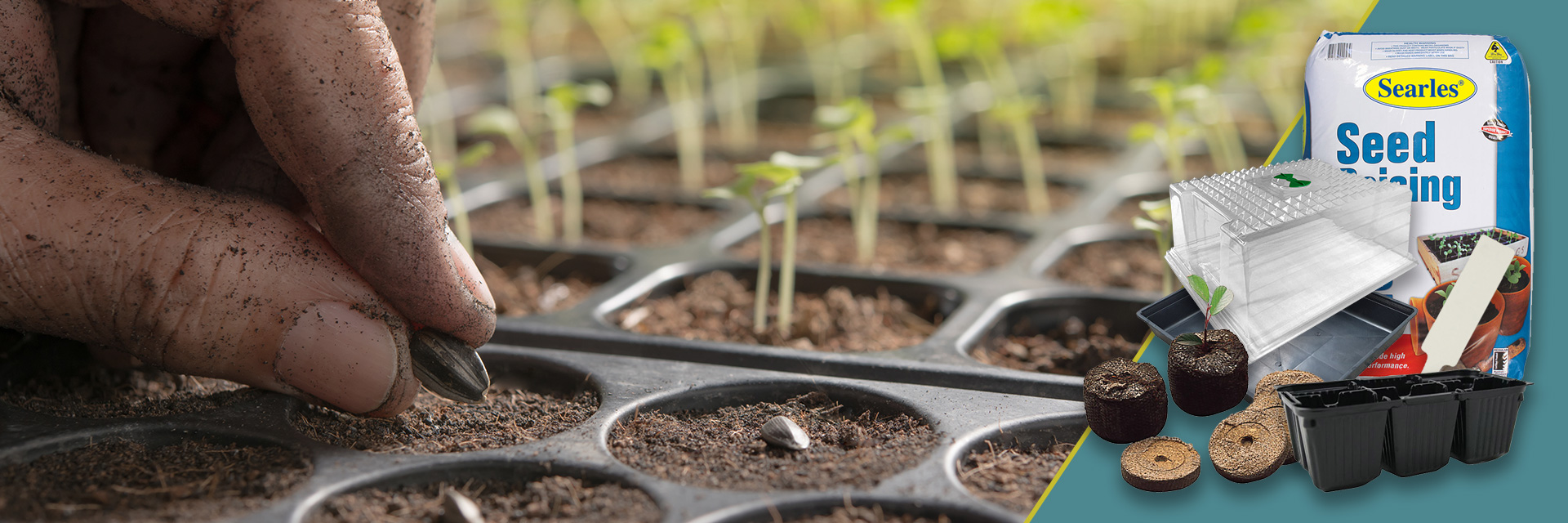 Get Ready for Winter in Autumn: Thrifty Gardening with Seeds and Simple ...