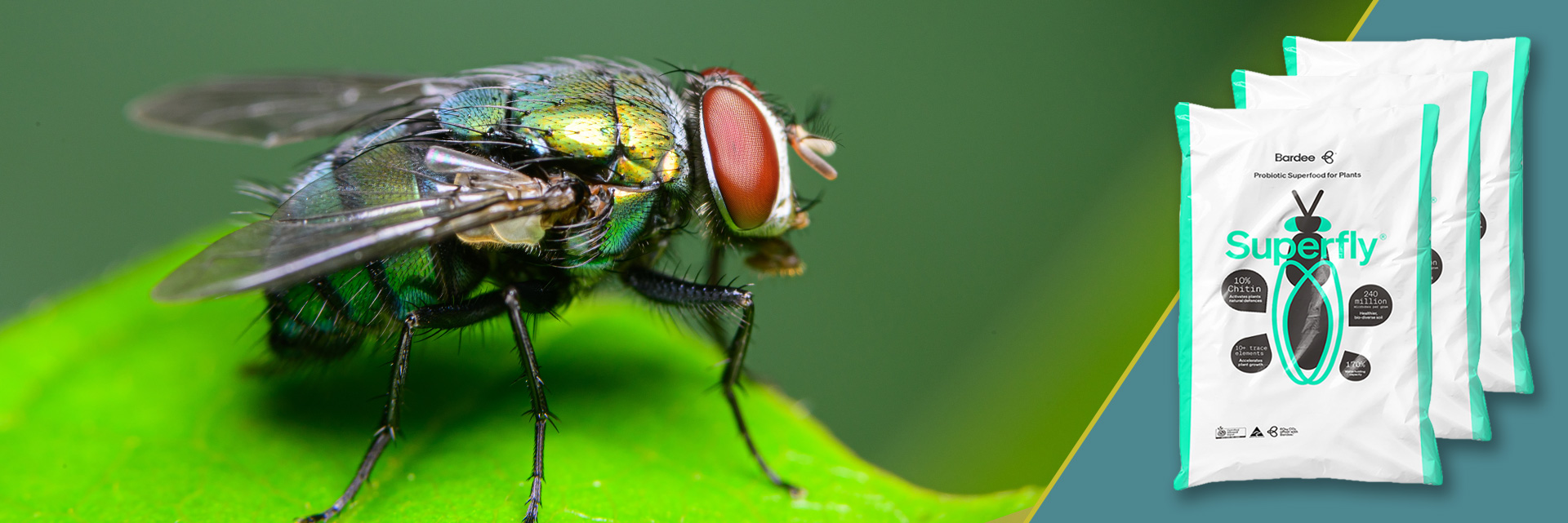 Unleash the Power of Probiotic Superfood for Your Plants with Superfly ...