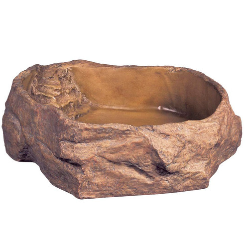 Turtle Store | Buy Turtles Online | Turtle Accessories - My Turtle Store