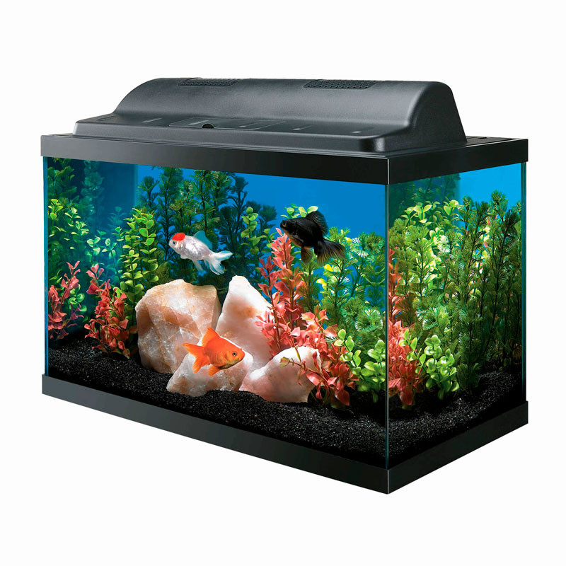 Aquatic Turtle Habitats | Big Selection | Check Us