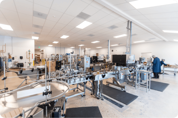 CBD Buyers Guide: Understanding What is CBD & Its Benefits