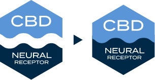 CBD Buyers Guide: Understanding What is CBD & Its Benefits