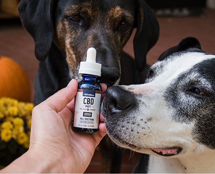 Full ‎Spectrum CBD Oil Tinctures for Dogs & Cats | CBDistillery