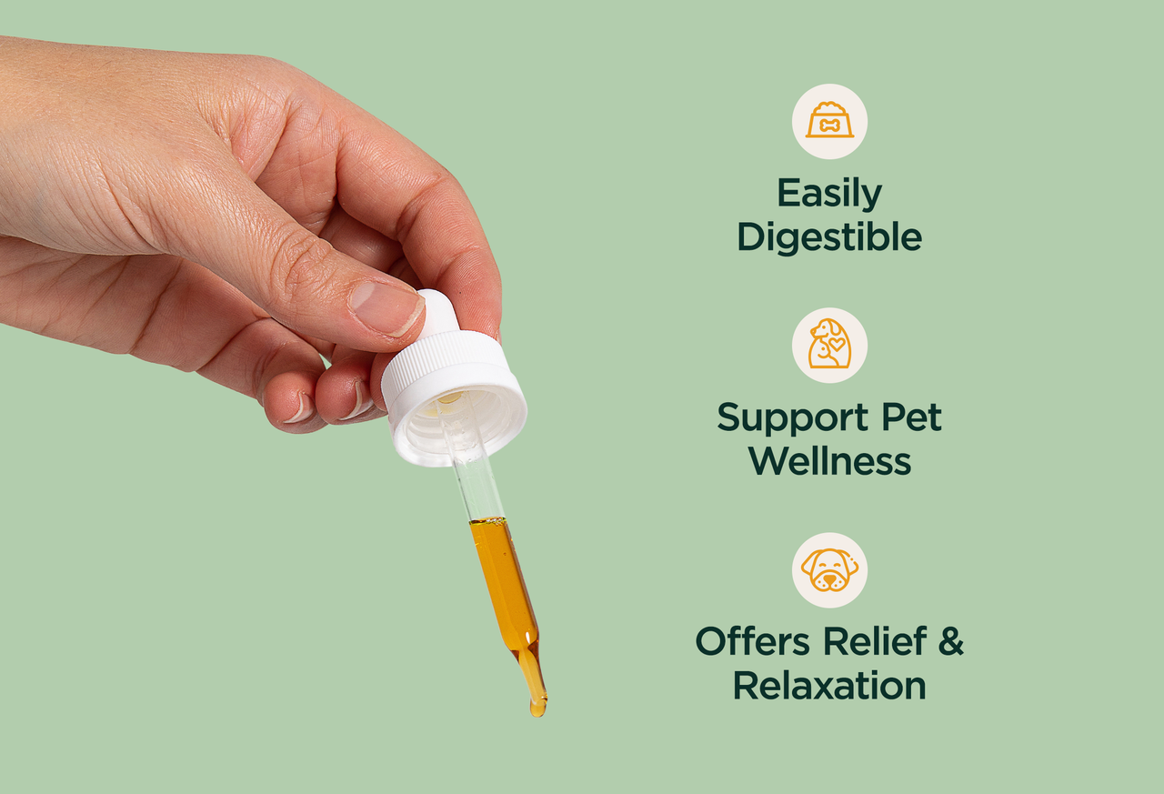 CBD Pet Tincture | CBD Tincture for Dogs & Cats | CBDistillery