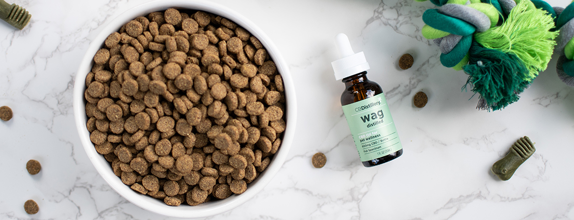 How to Give CBD Oil to Your Dog: A Step-by-Step Guide - CBDistillery