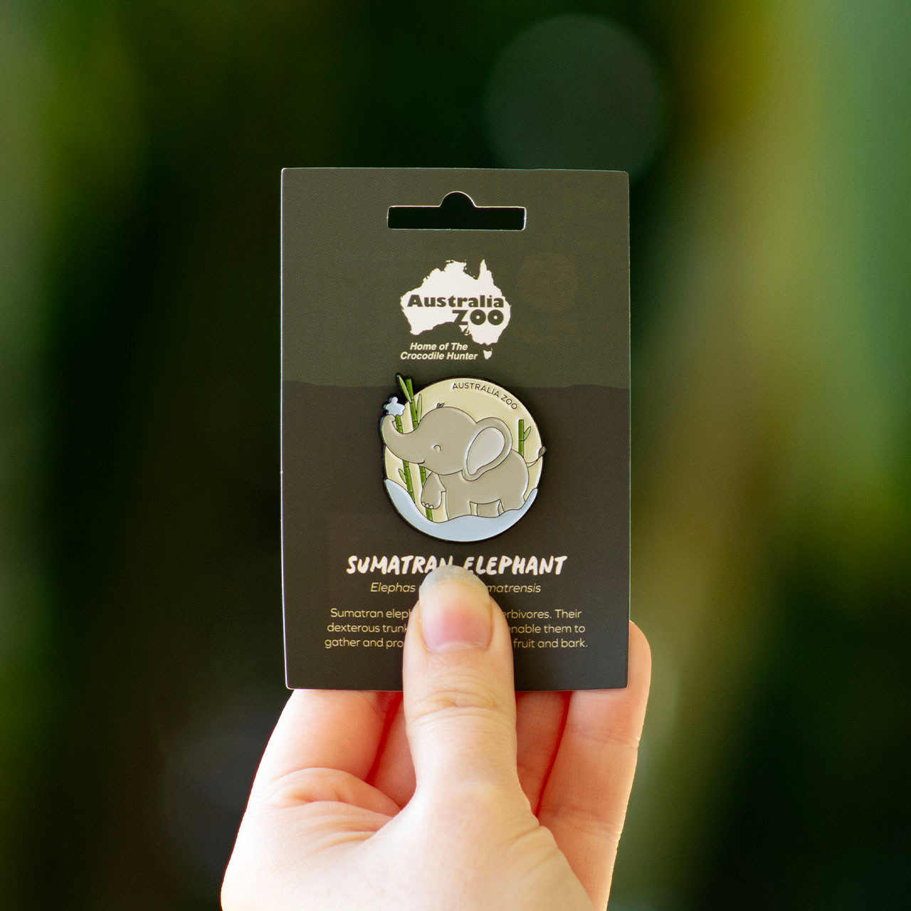 Lapel Pin - Australia Zoo Elephant - Australia Zoo