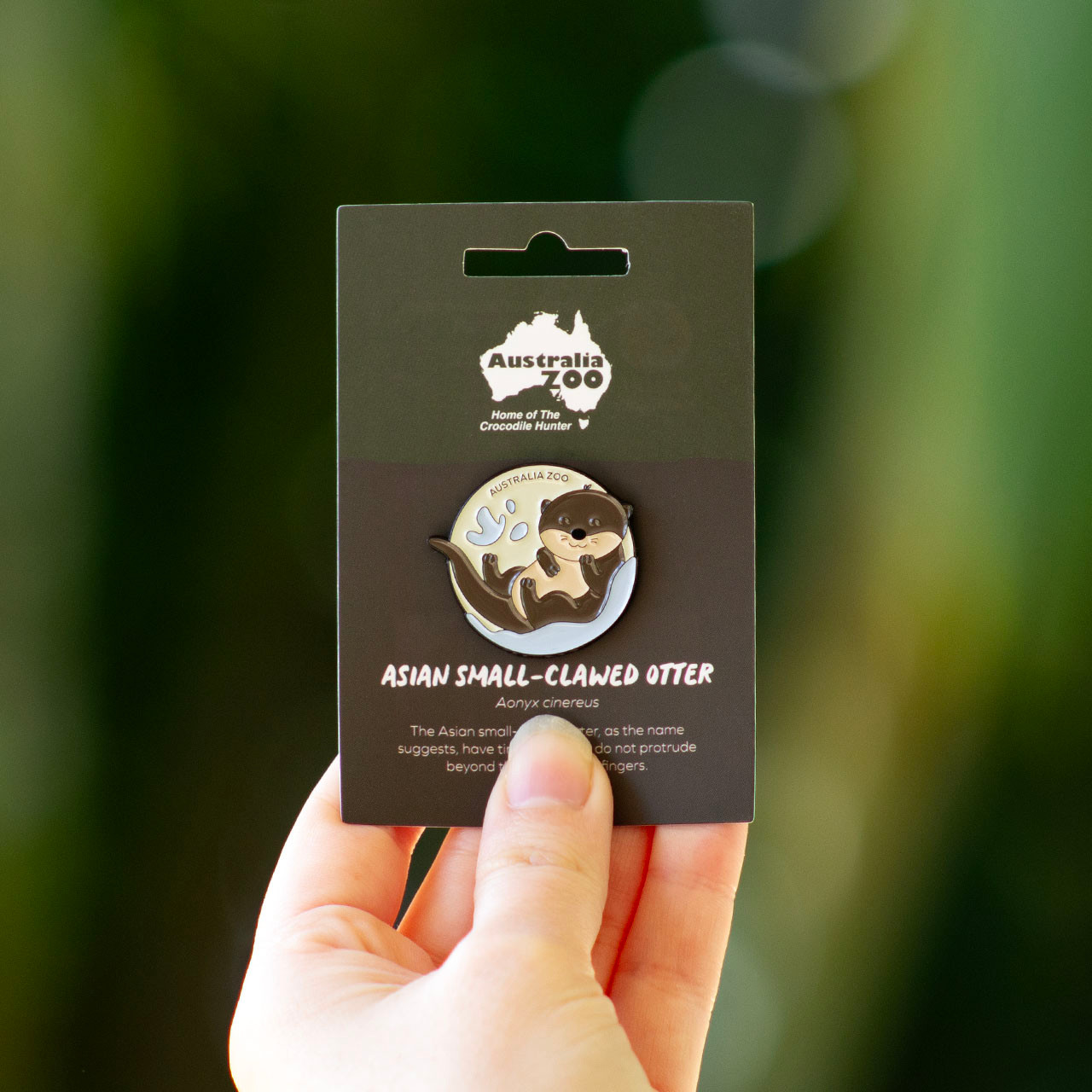 Lapel Pin - Australia Zoo Otter - Australia Zoo