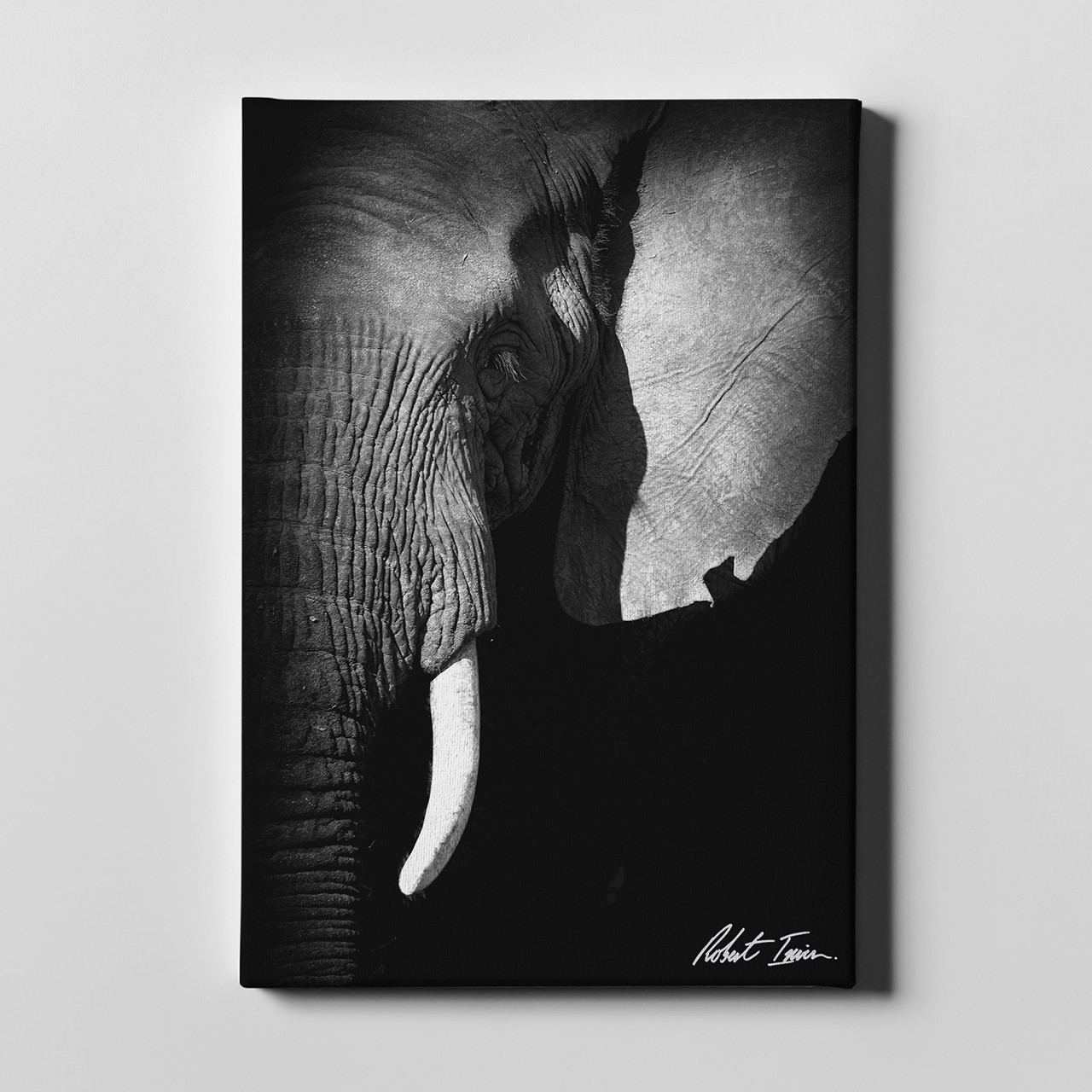 Photography by Robert Irwin - Large Elephant Canvas