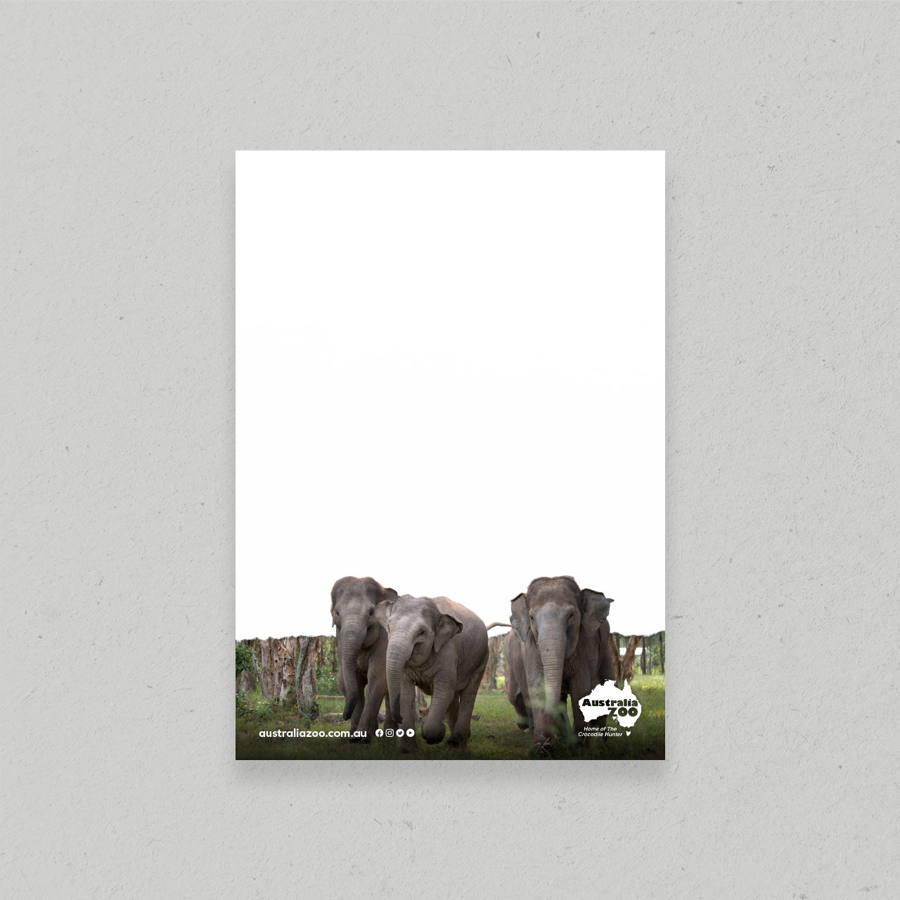 Australia Zoo - As Wild As Life Gets - A5 Notepad