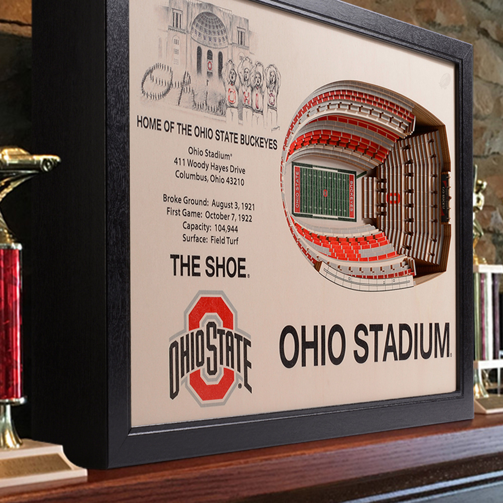 Ohio State Buckeyes Framed 3-D Stadium Art