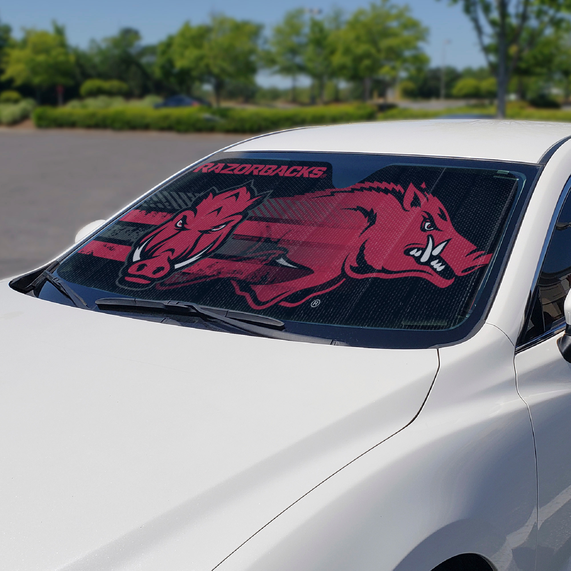 Arkansas Razorbacks Auto Shade