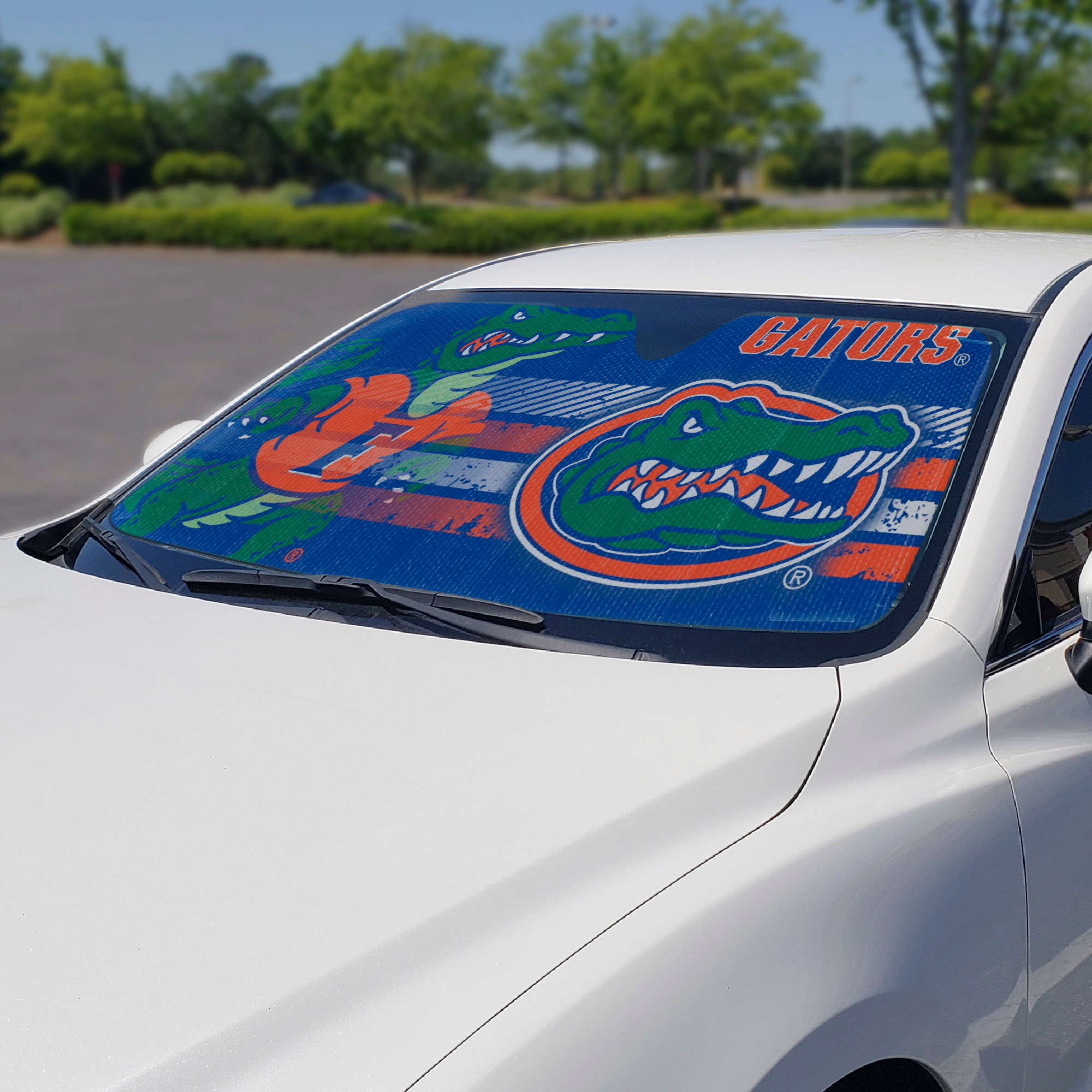 Florida Gators Auto Shade