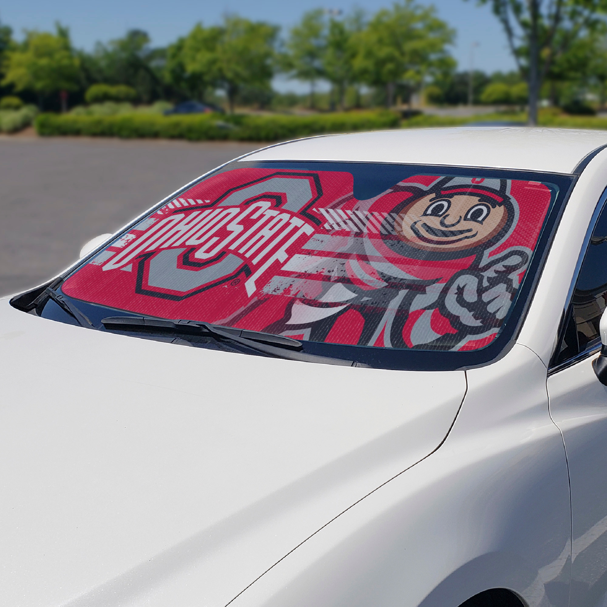 Ohio State Buckeyes Auto Shade