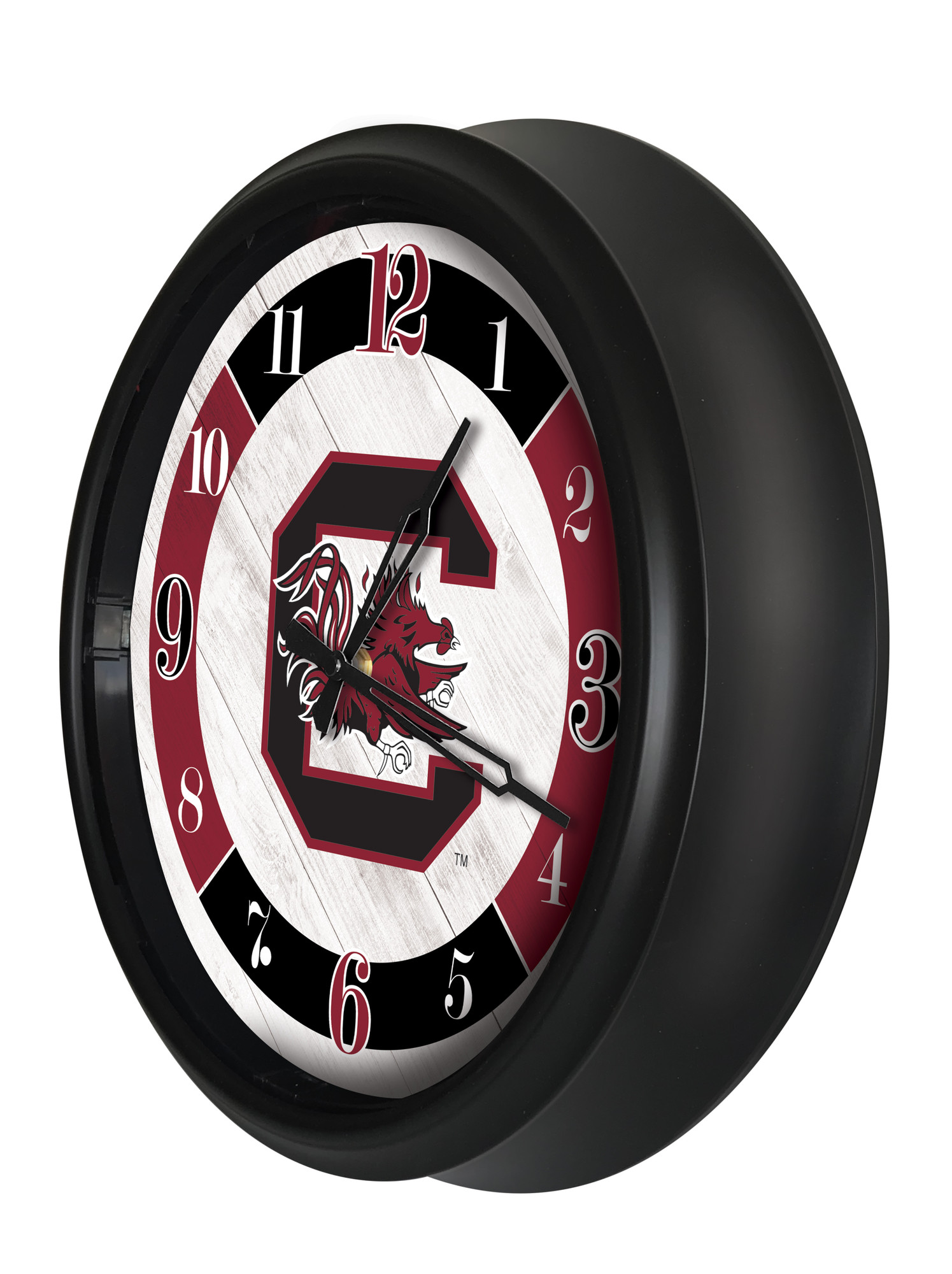 South Carolina Gamecocks Indoor/Outdoor LED Wall Clock