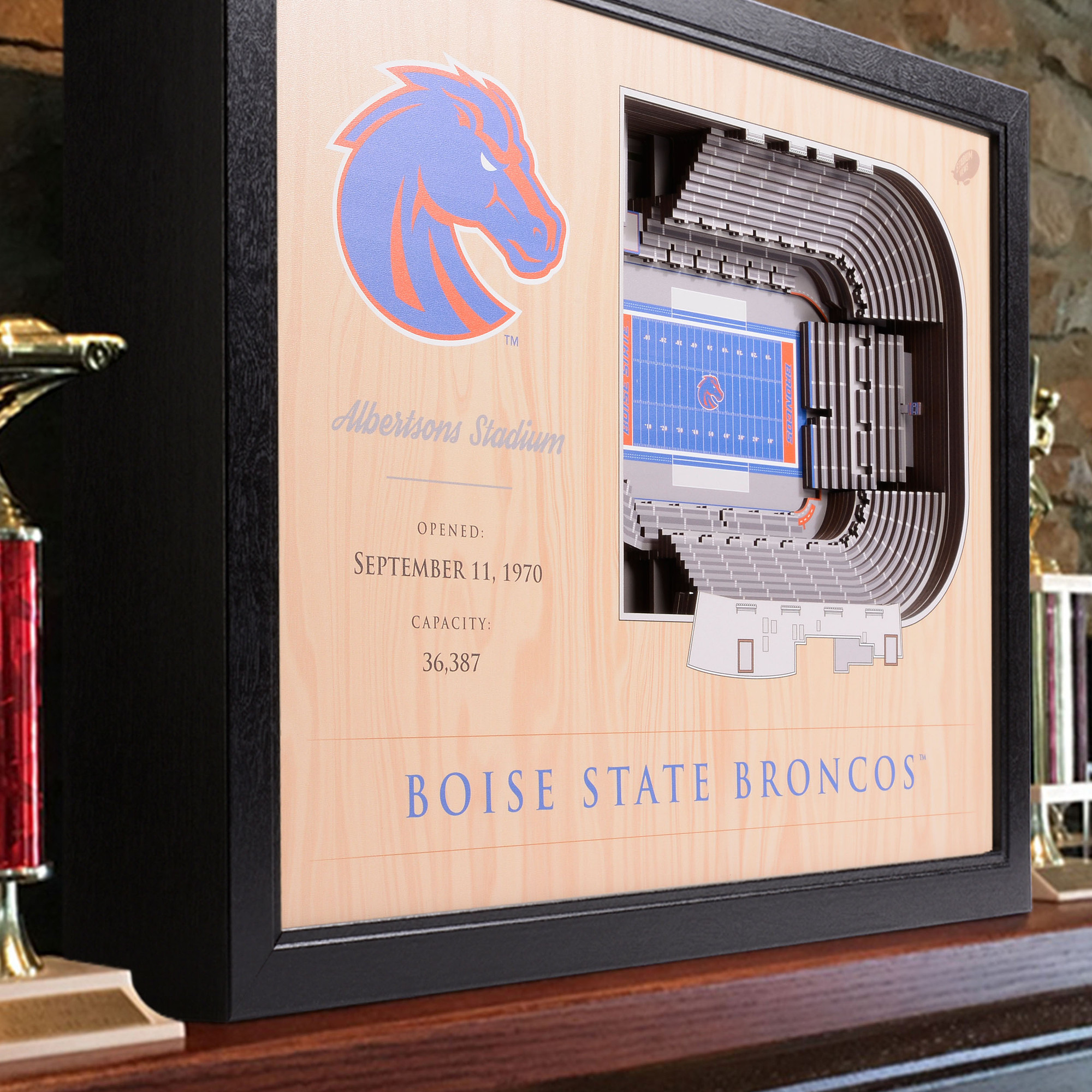 Boise State Broncos 25-Layer StadiumView Wall Art