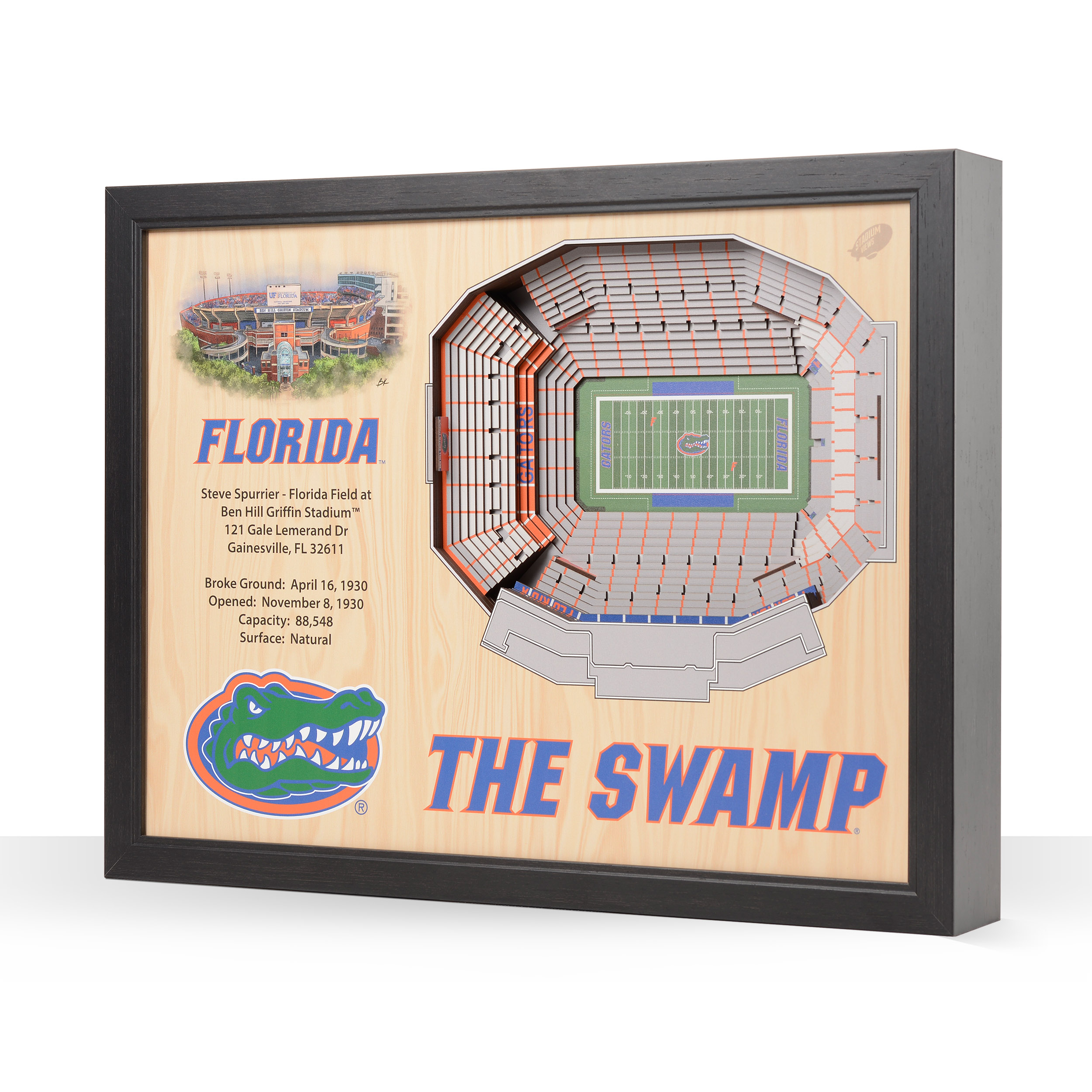 Florida Gators 25 Layer Stadiumview Wall Art