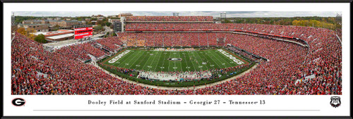 Georgia Bulldogs Football Stadium Panoramic Photo Standard Frame