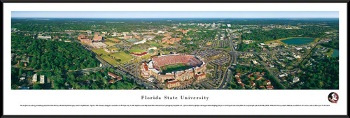 FSU Seminoles Standard Frame Panoramic Photo - Aerial View