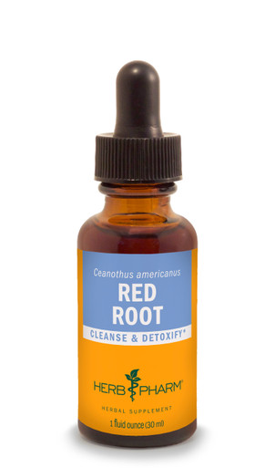 Red Root Tincture - Clary Sage Herbarium