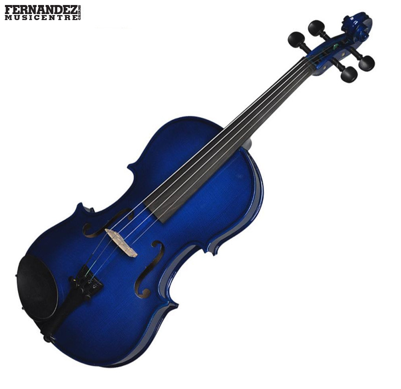 Steinhoff Violin