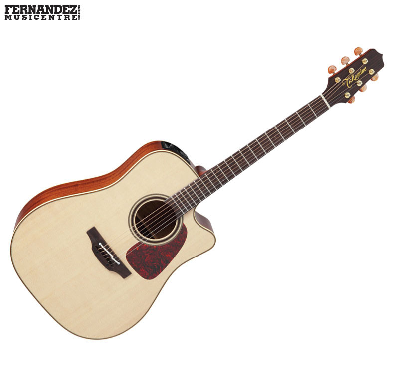 Takamine Pro Series 4 Dreadnought AC/EL Guitar