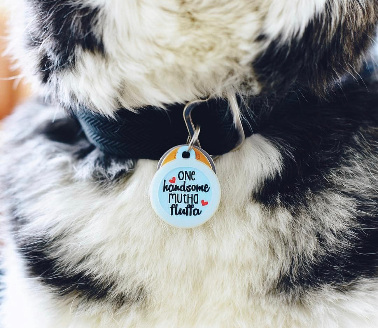 Bad Tags OFFICIAL - Personalized Dog Tags for Sale - Unique Pet ID Tags ...