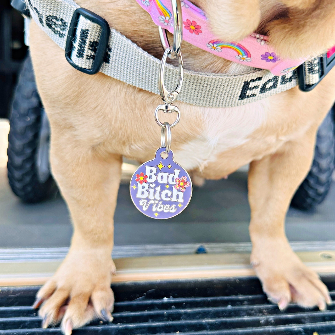 Bad Tags - Funny Dog Tags for Sale - Personalized Pet ID Tags