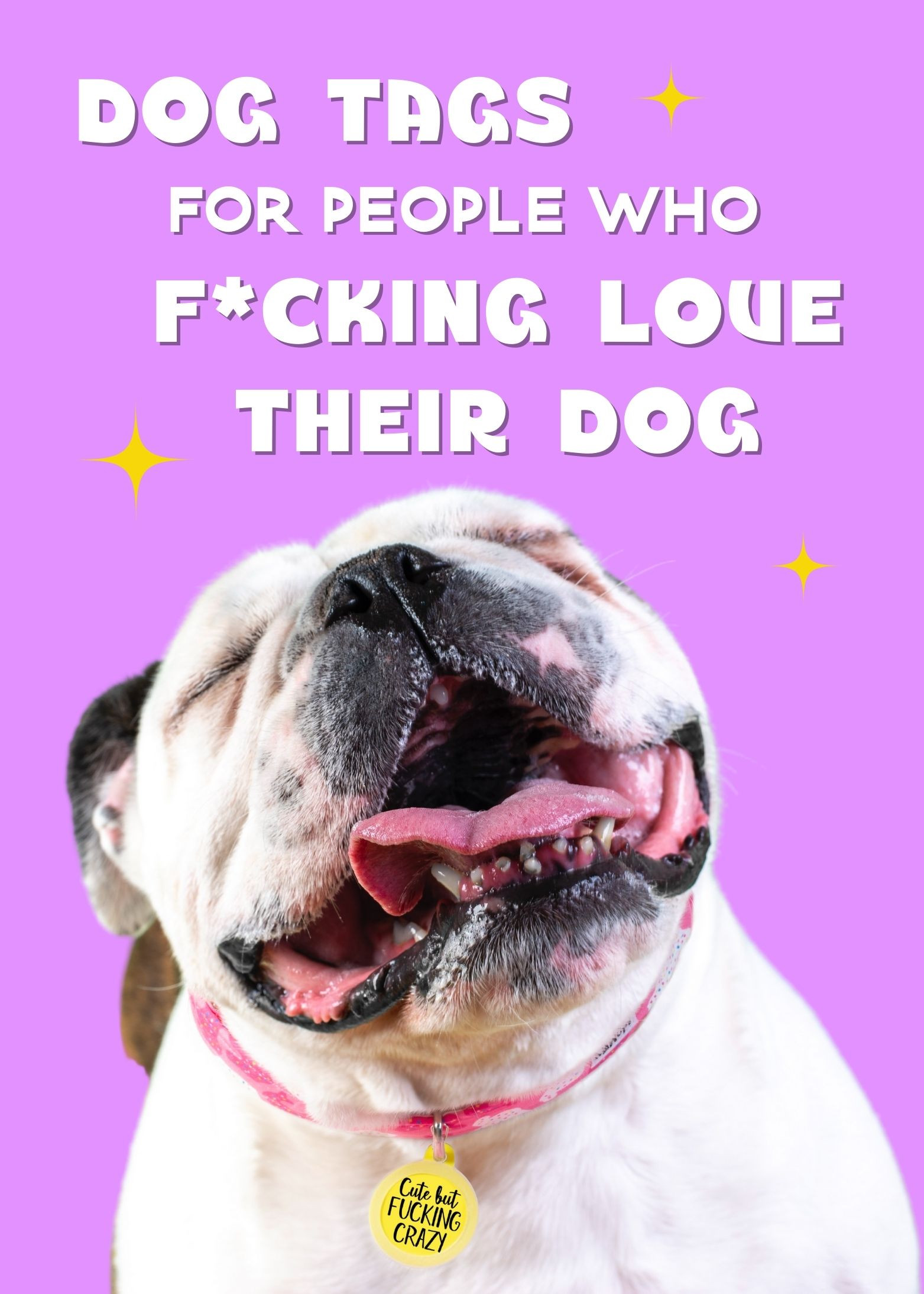 Bad Tags - Funny Dog Tags for Sale - Personalized Pet ID Tags