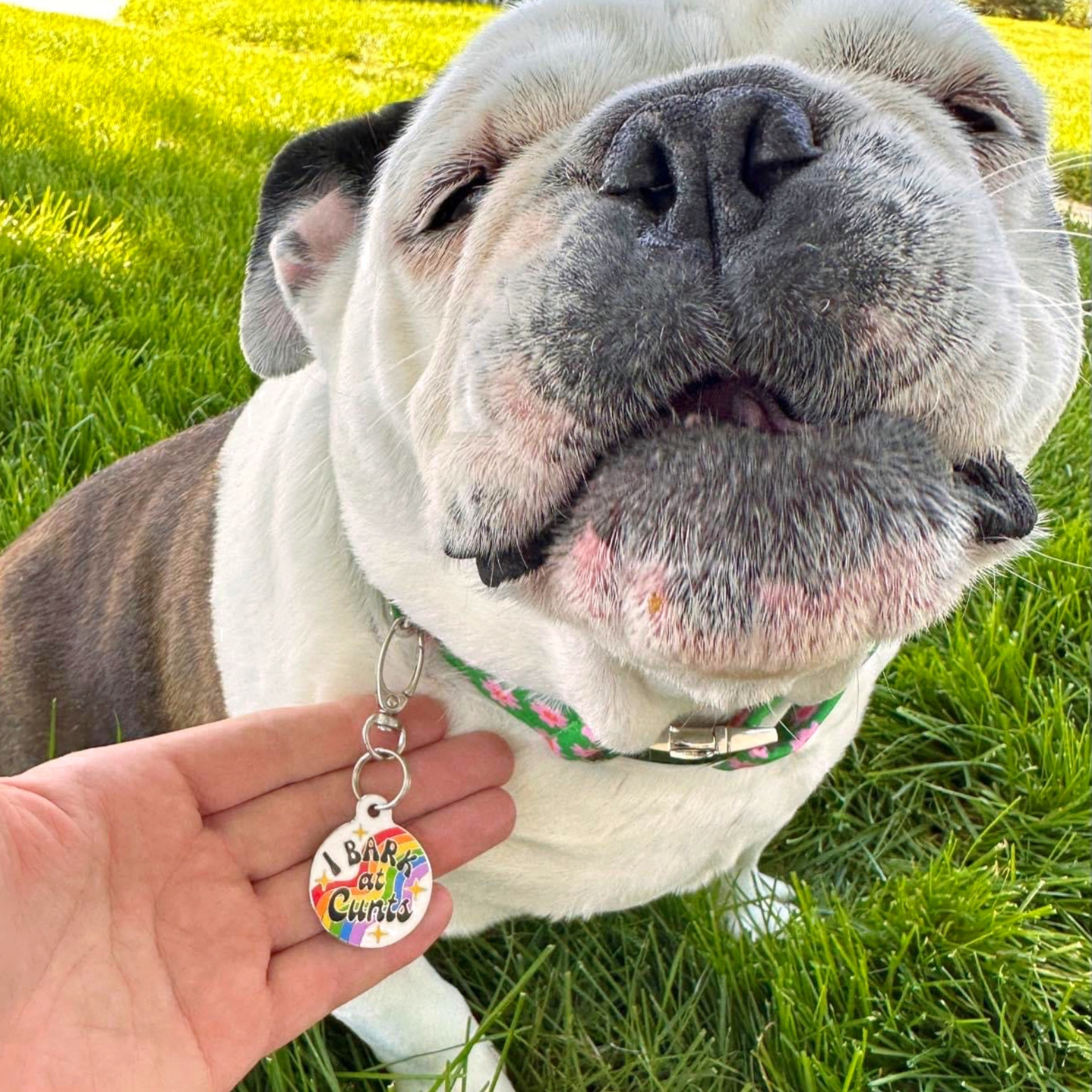 Bad Tags - Funny Dog Tags for Sale - Personalized Pet ID Tags