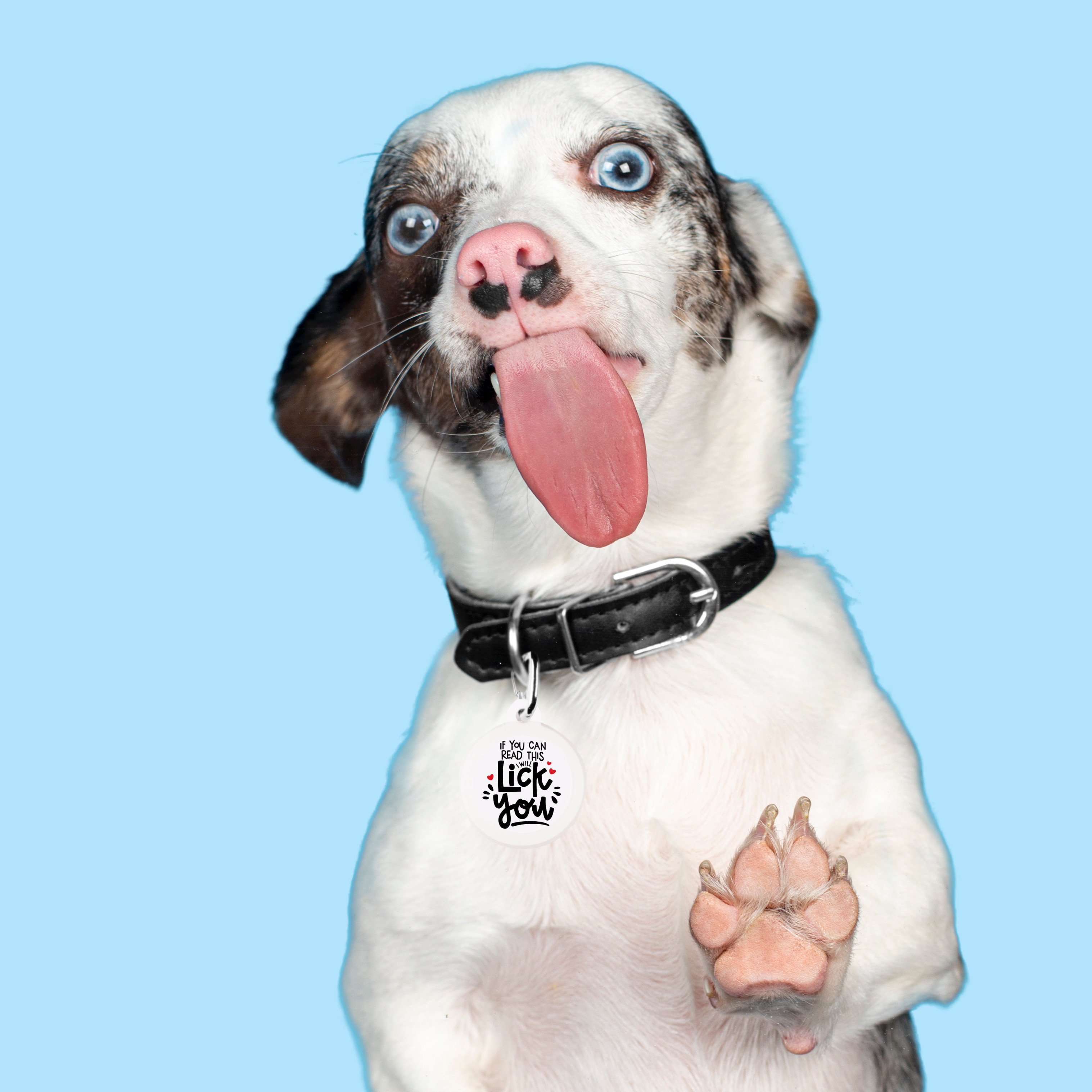 Bad Tags OFFICIAL - Personalized Dog Tags for Sale - Unique Pet ID Tags ...