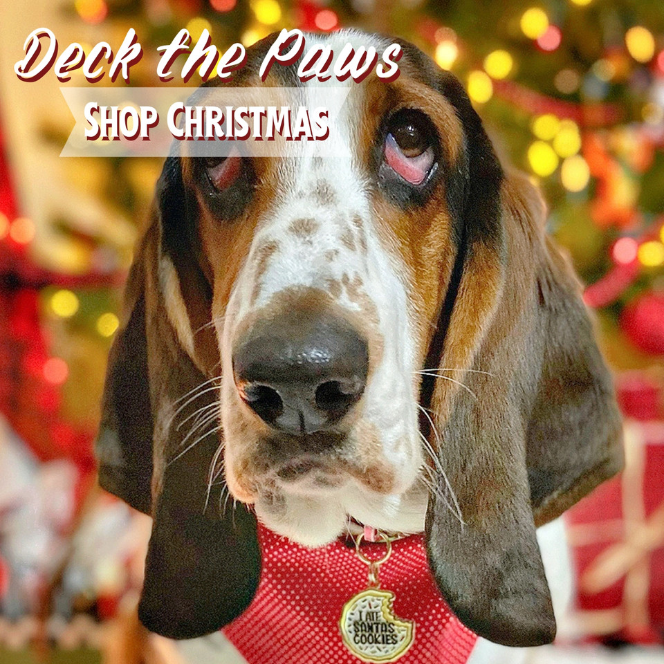 Bad Tags - Funny Dog Tags for Sale - Personalized Pet ID Tags