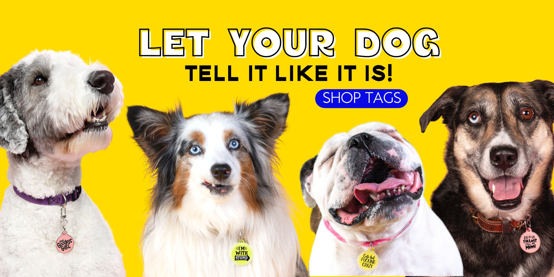 Bad Tags - Funny Dog Tags for Sale - Custom Pet ID Tags