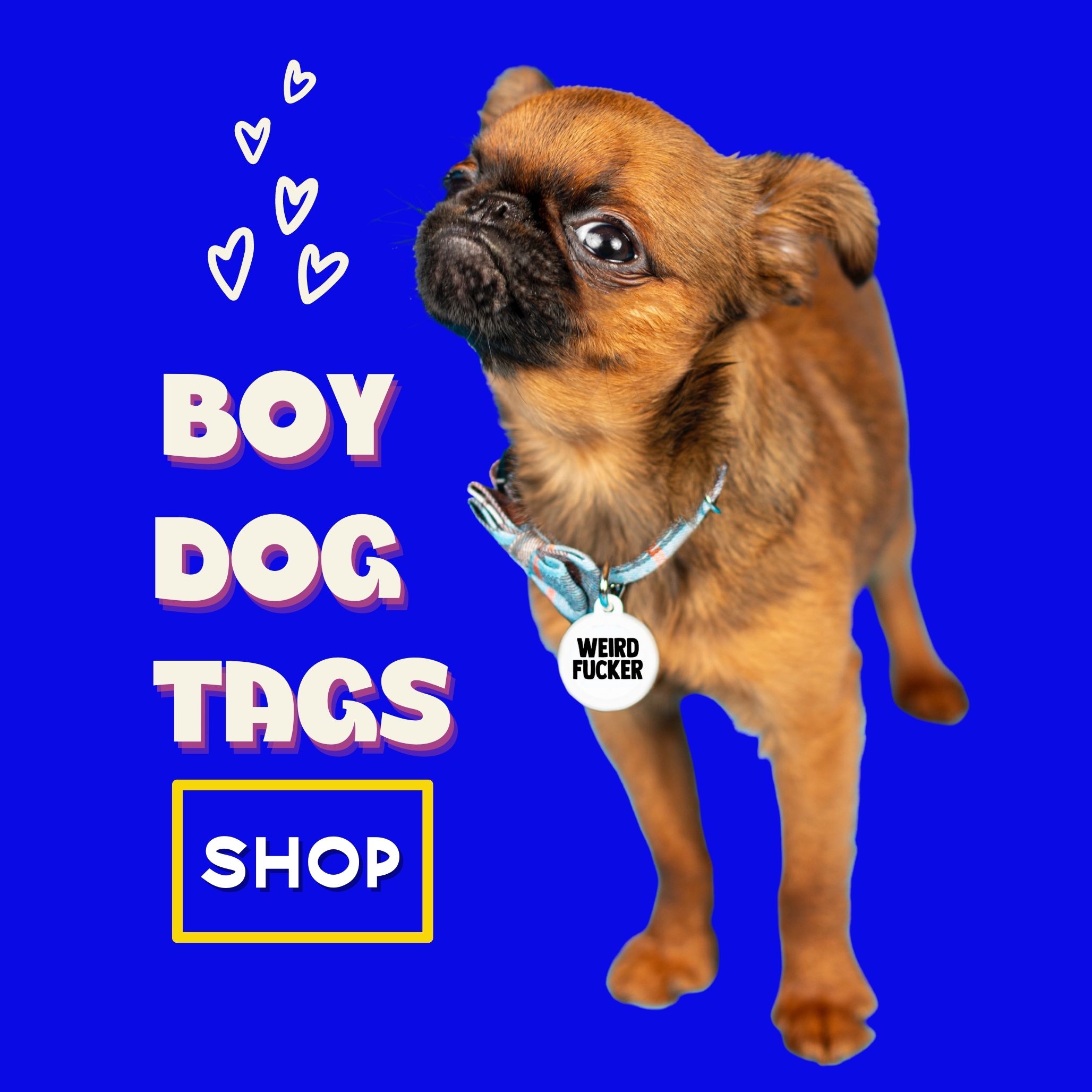 Bad Tags - Funny Dog Tags for Sale - Personalized Pet ID Tags