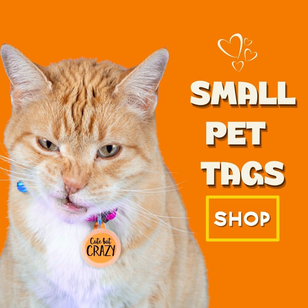 Bad Tags - Funny Dog Tags for Sale - Personalized Pet ID Tags