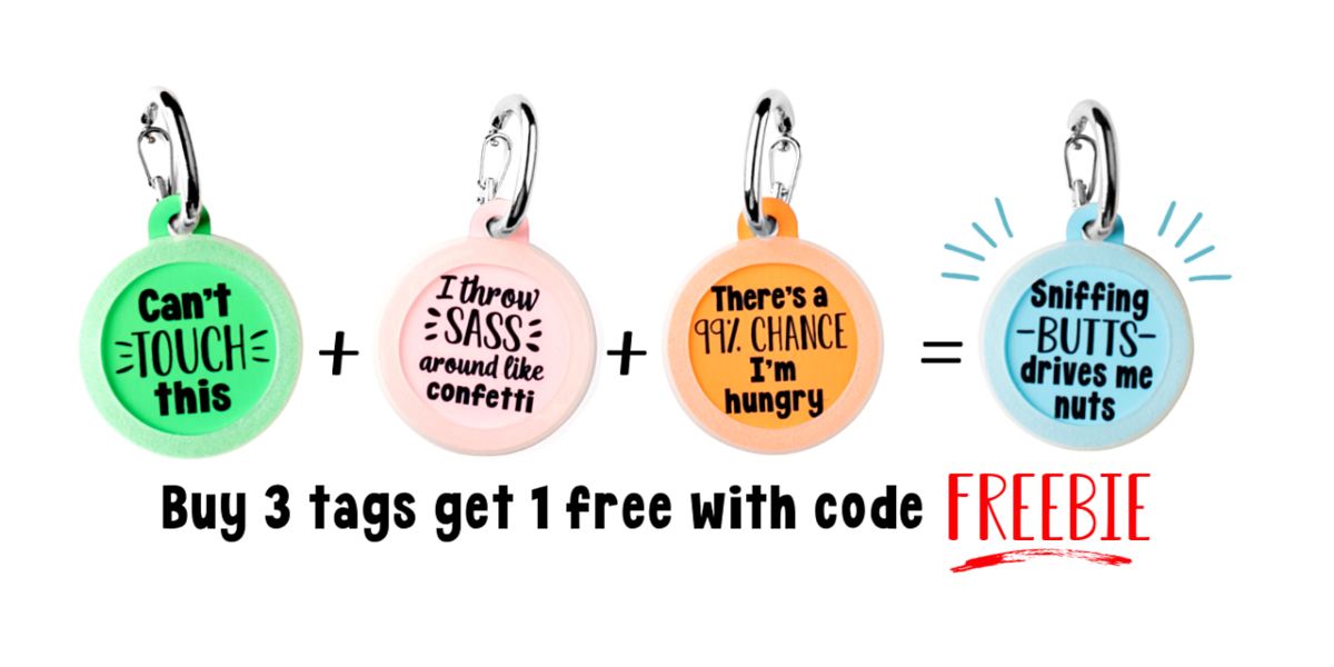 Personalized Dog ID Tags For Funny Pets | Bad Tags