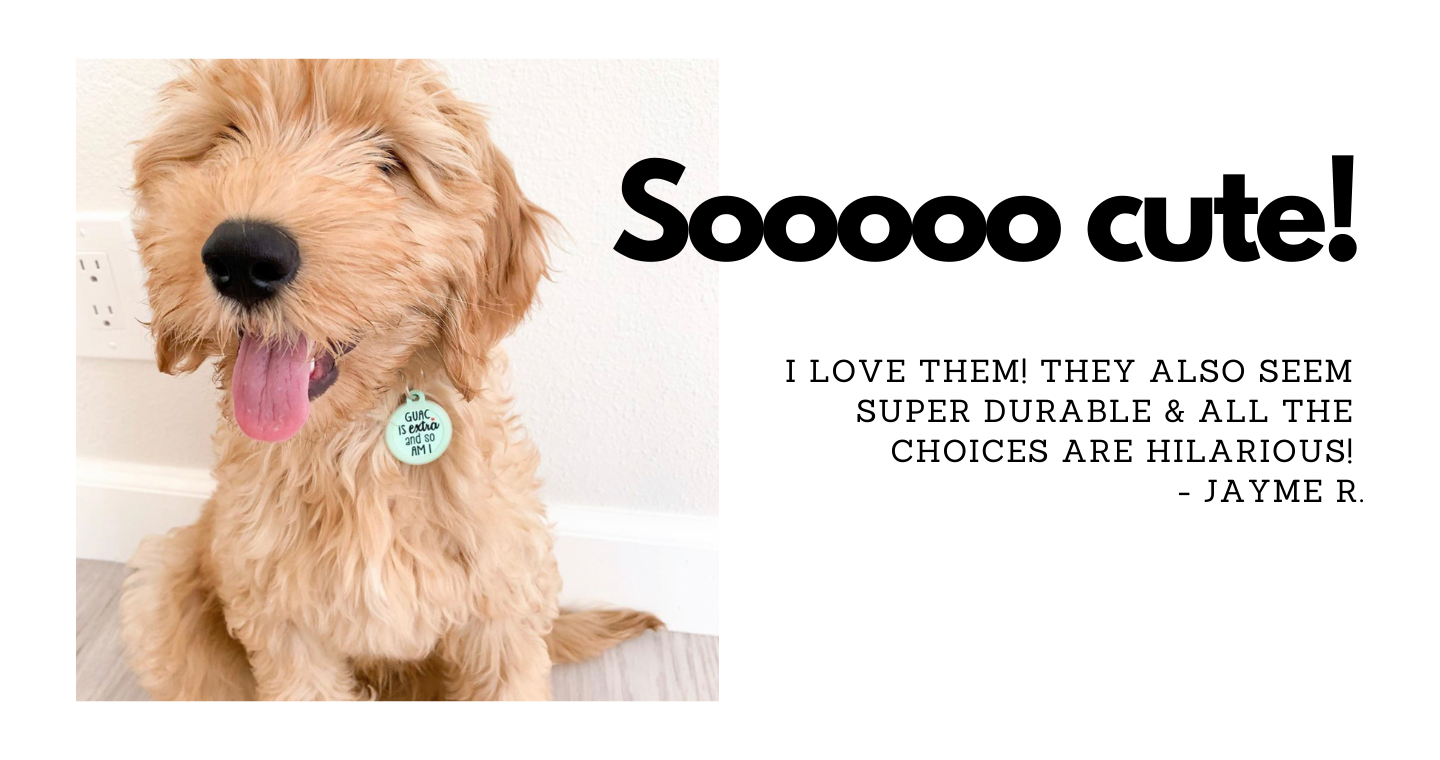 Bad Tags - Custom Pet ID Tags - Dog ID Tags for Sale