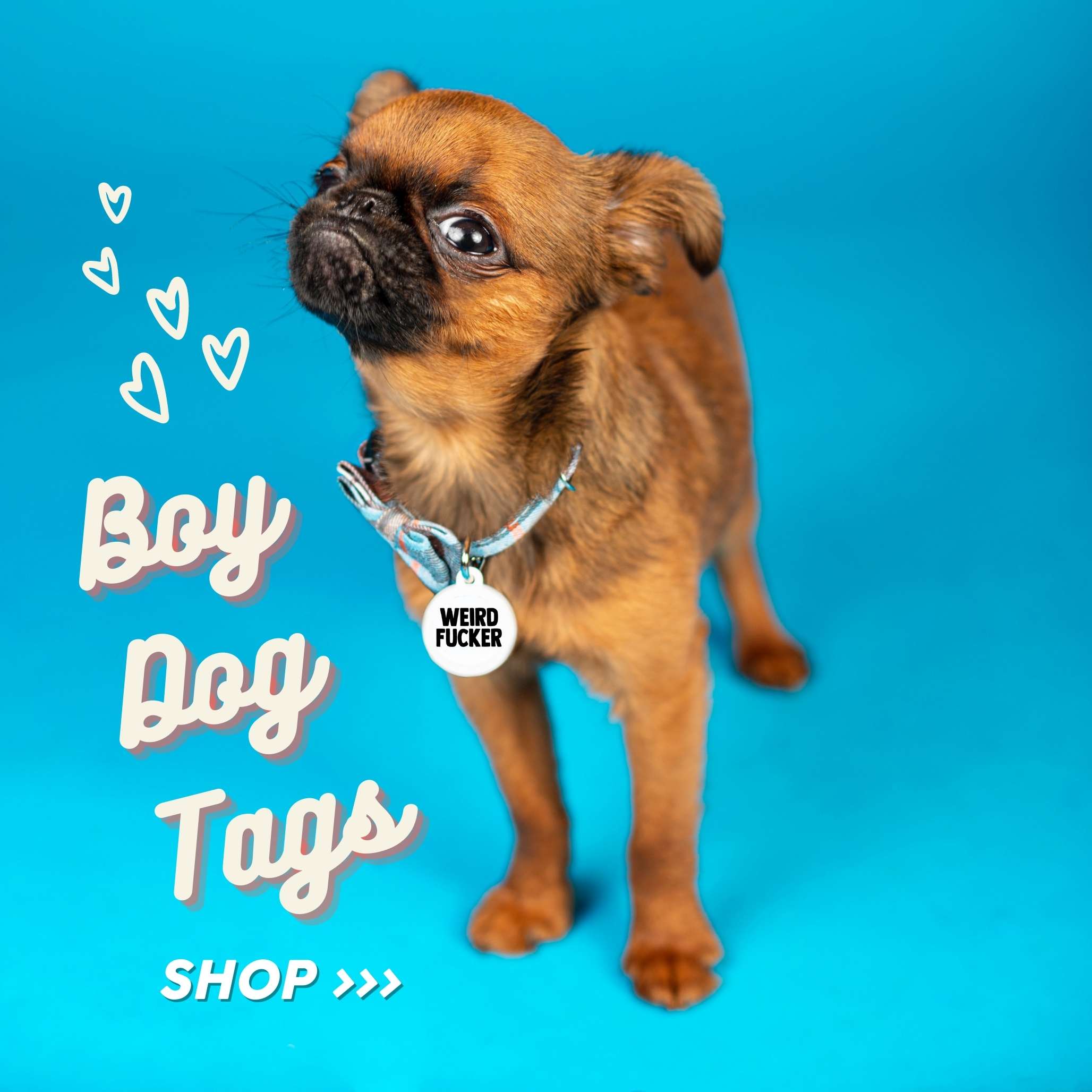 Bad Tags - Funny Dog Tags for Sale - Custom Pet ID Tags