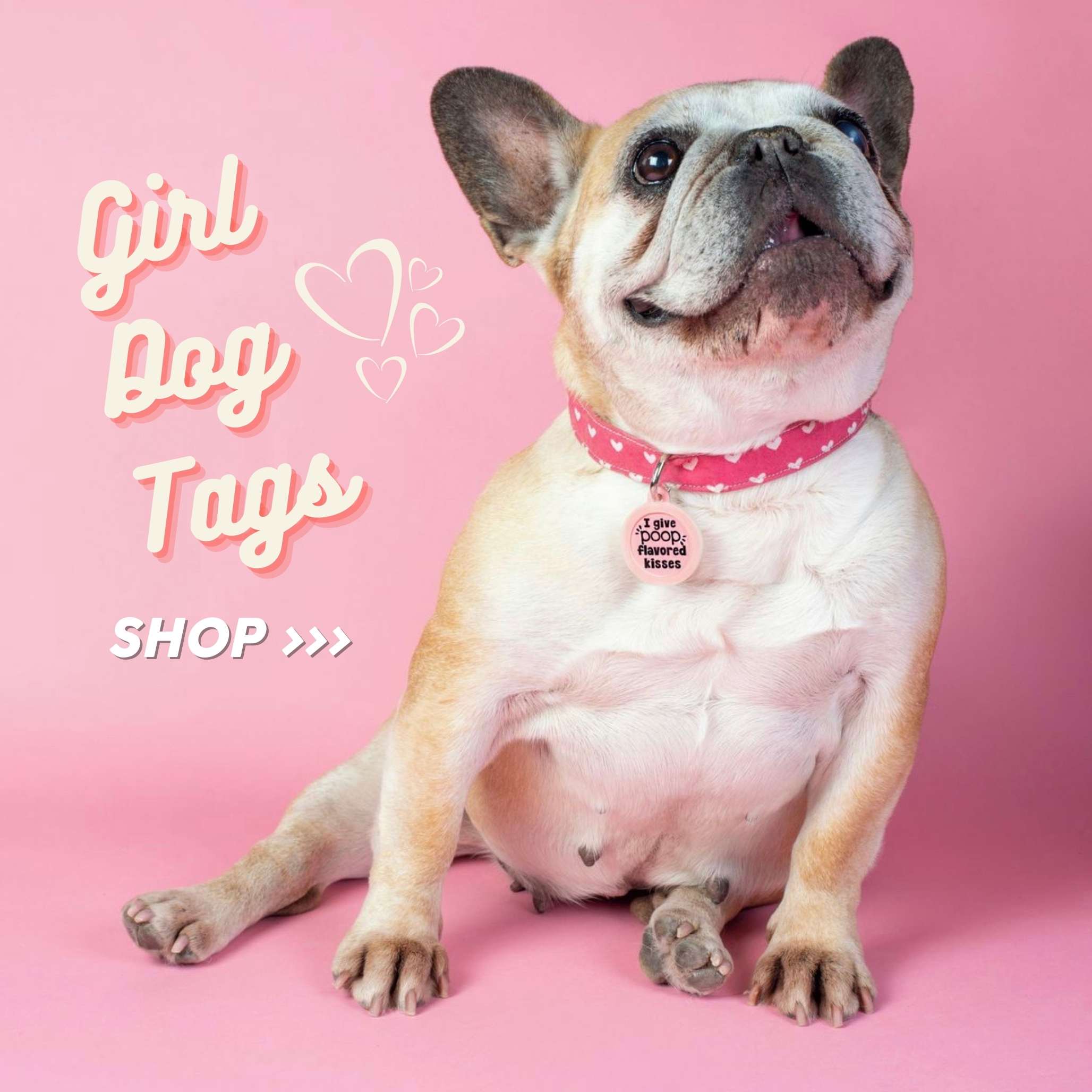 Bad Tags - Funny Dog Tags for Sale - Custom Pet ID Tags