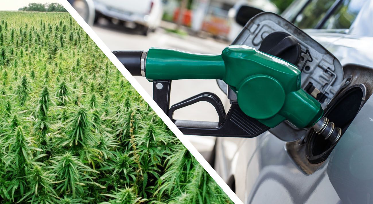 Hemp Biodiesel: The Future of Fuel - Colorado Cures