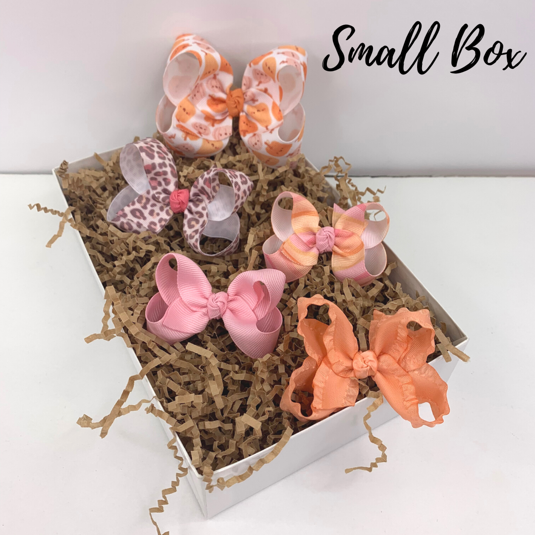 The All New Bow Box - Current Box - One Stop Bow Shop