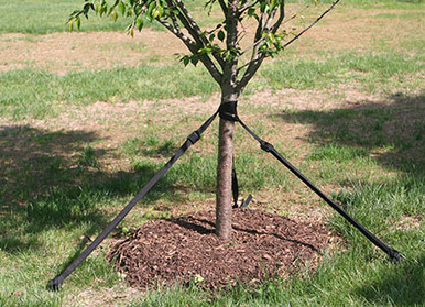 Tree Support Straps