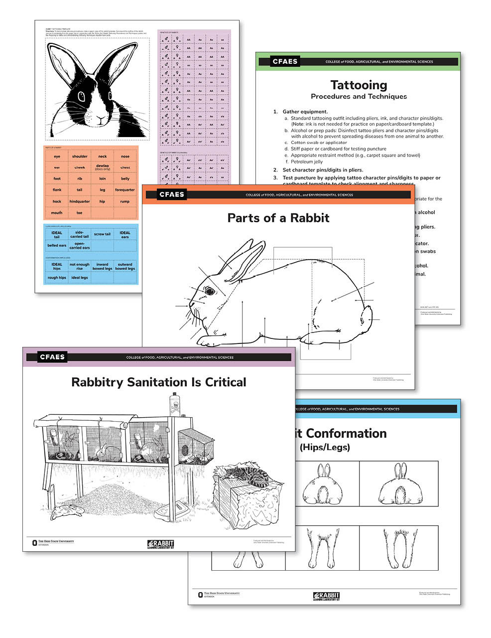 Rabbit Learning Lab Kit - Ohio State University Extension Publishing