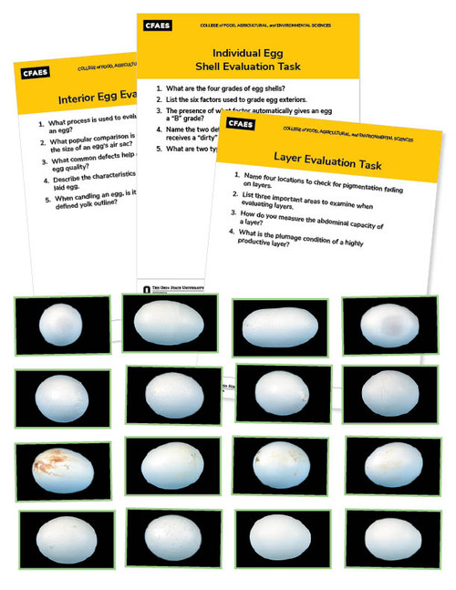 Poultry Learning Lab Kit - OSU Extension Publishing