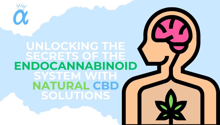 Unlocking the Secrets of the Endocannabinoid System with Natural CBD Solutions - Alpha Hemp ...