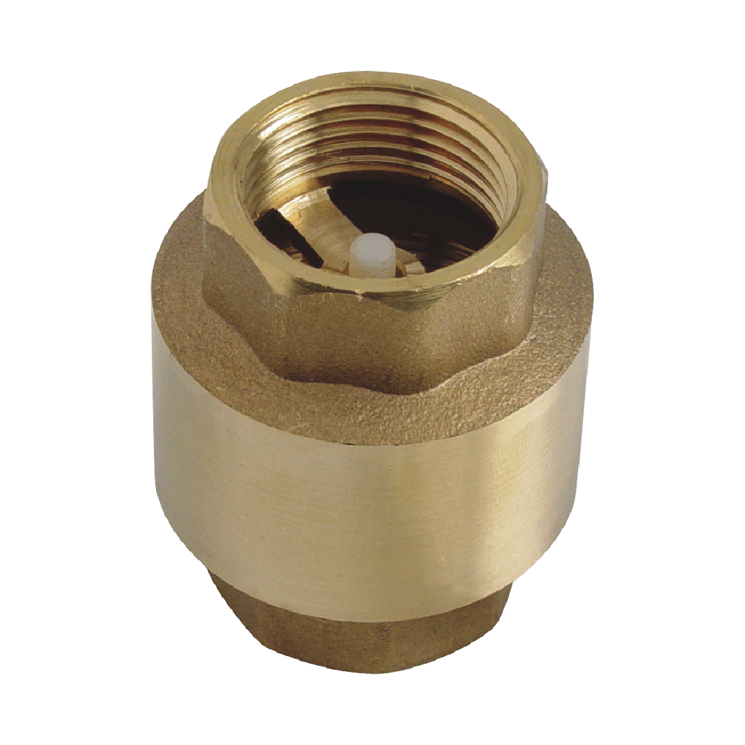 Showy spring loaded check valve 3/4" - Goldunited Sdn Bhd