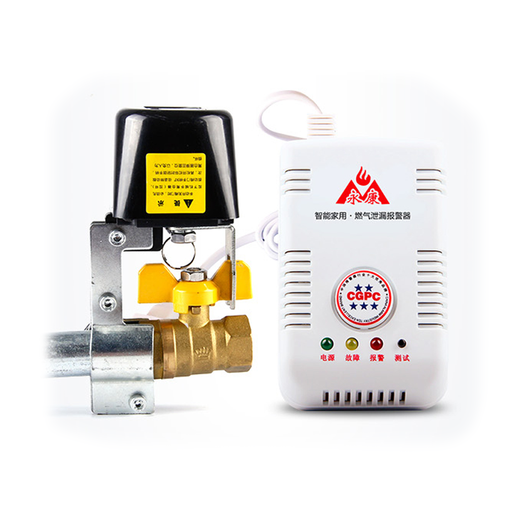 Smart Gas Controller (LPG) - Goldunited Sdn Bhd