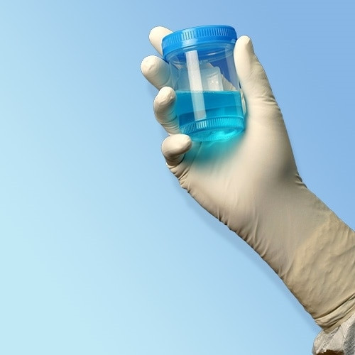 TechniGlove 12 in. Nitrile Gloves | Cleanroom Supplies | Harmony