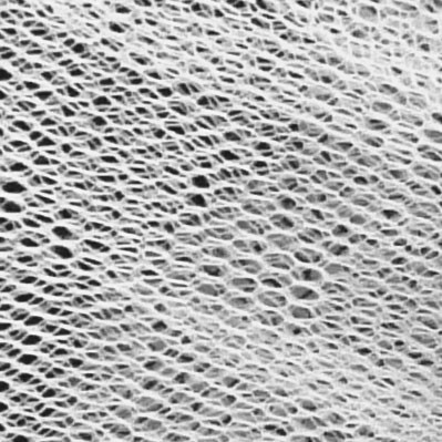 Nylon Hair Nets - USDA & FDA Certified - Harmony Lab & Safety Supplies