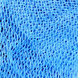 Nylon Hair Nets - USDA & FDA Certified - Harmony Lab & Safety Supplies