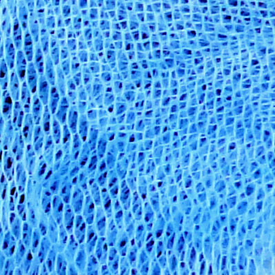 Nylon Hair Nets - USDA & FDA Certified - Harmony Lab & Safety Supplies